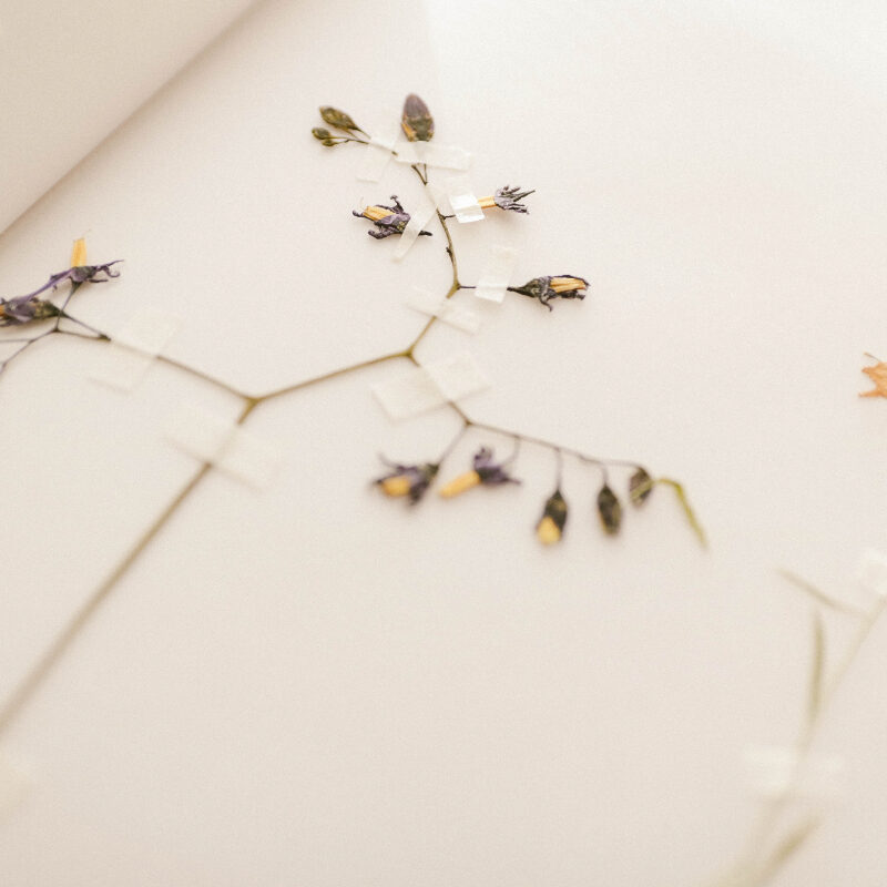What Is Interstitial Journaling?